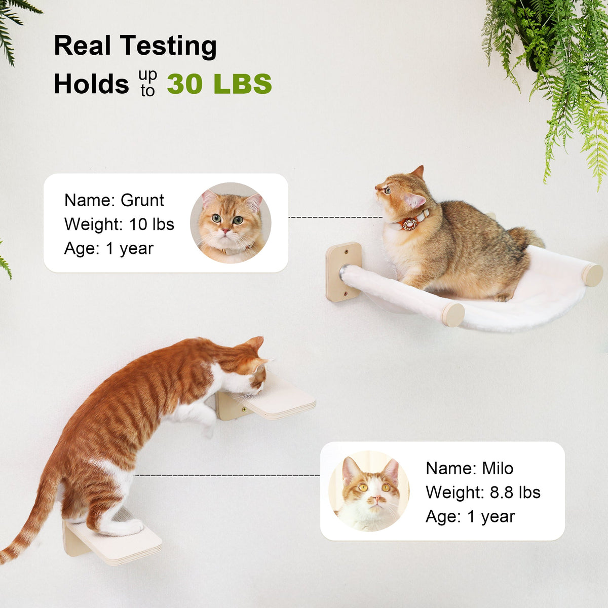 FUKUMARU Cat Wall Hammock with Two Steps Set