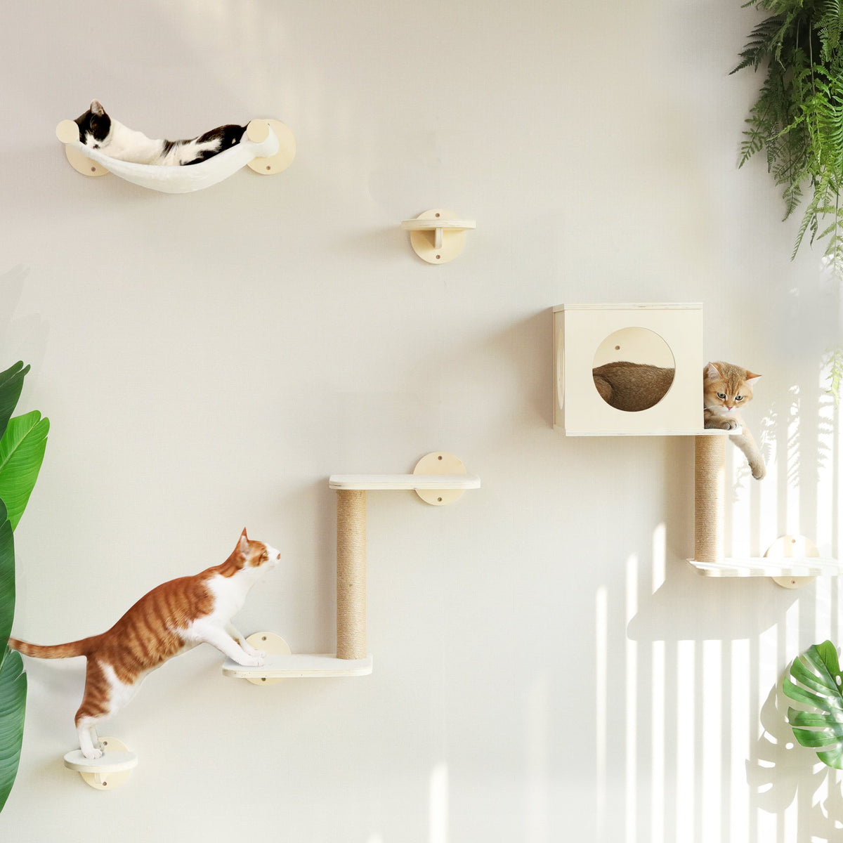 FUKUMARU Cat Wall Shelves, 5-Piece
